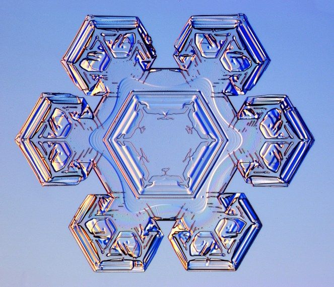 Images: The Artistry of Nature - Snowflakes Up Close | Live Science