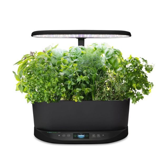 5 Indoor Plant Growing Systems to Help Your Crops Thrive | Livingetc