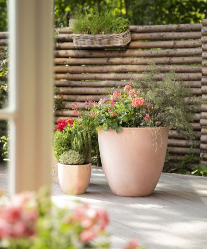 Container gardening mistakes: 9 common errors to avoid | Homes and Gardens