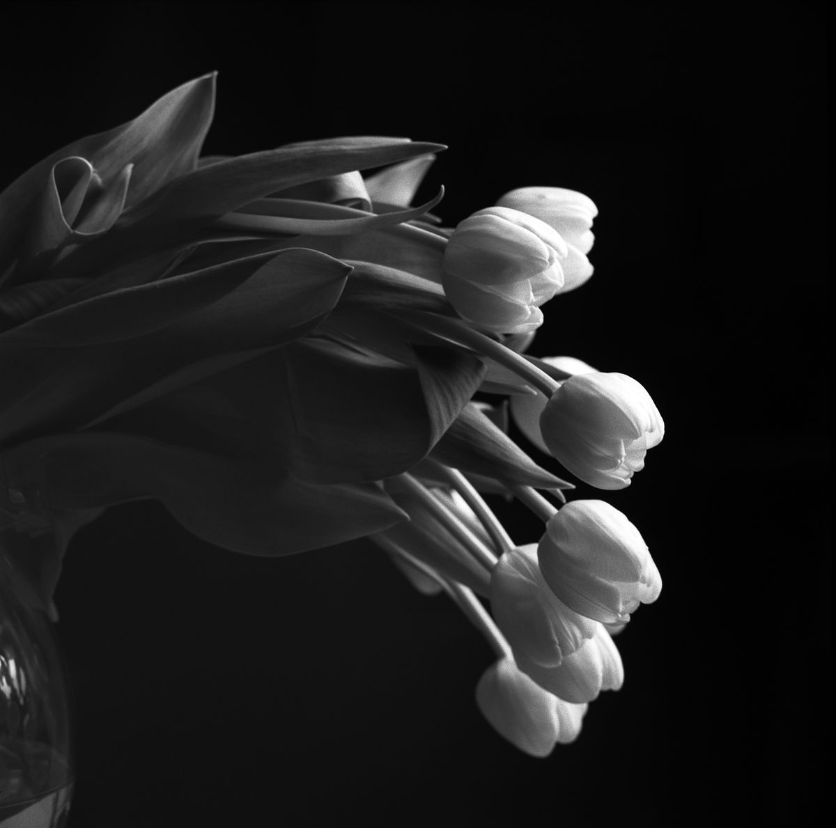 Buy this book! Ted Forbes redefines the how-to photography book with ...