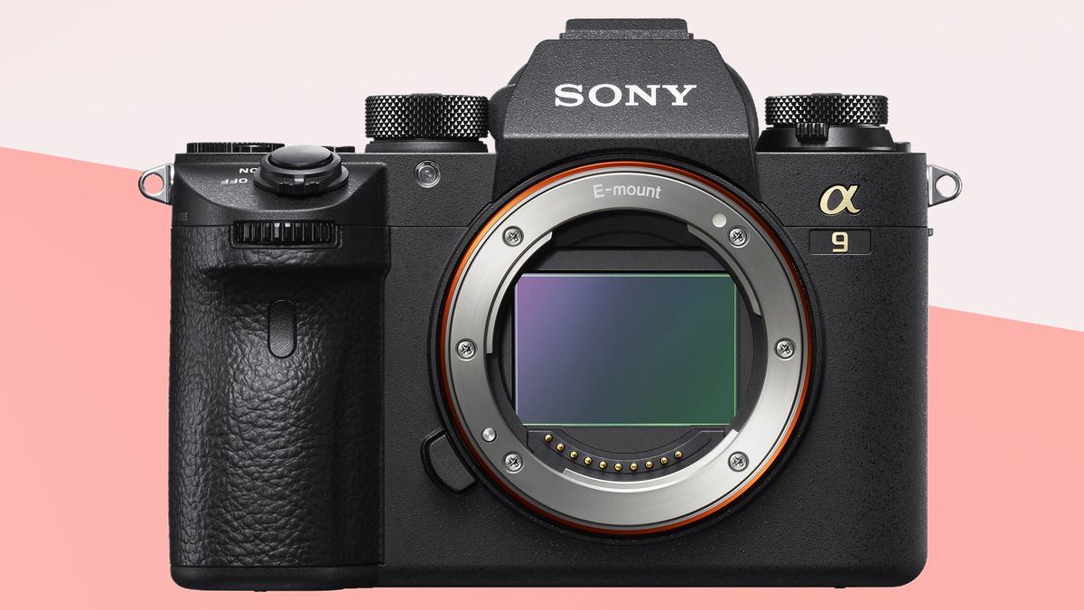 The most exciting cameras of 2021 | TechRadar