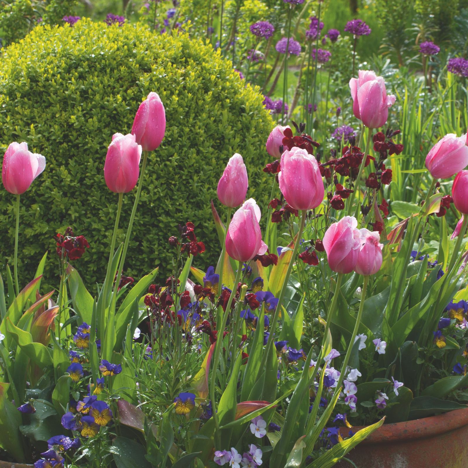 Romantic tulip display trend for 2025 – how to get the look | Ideal Home