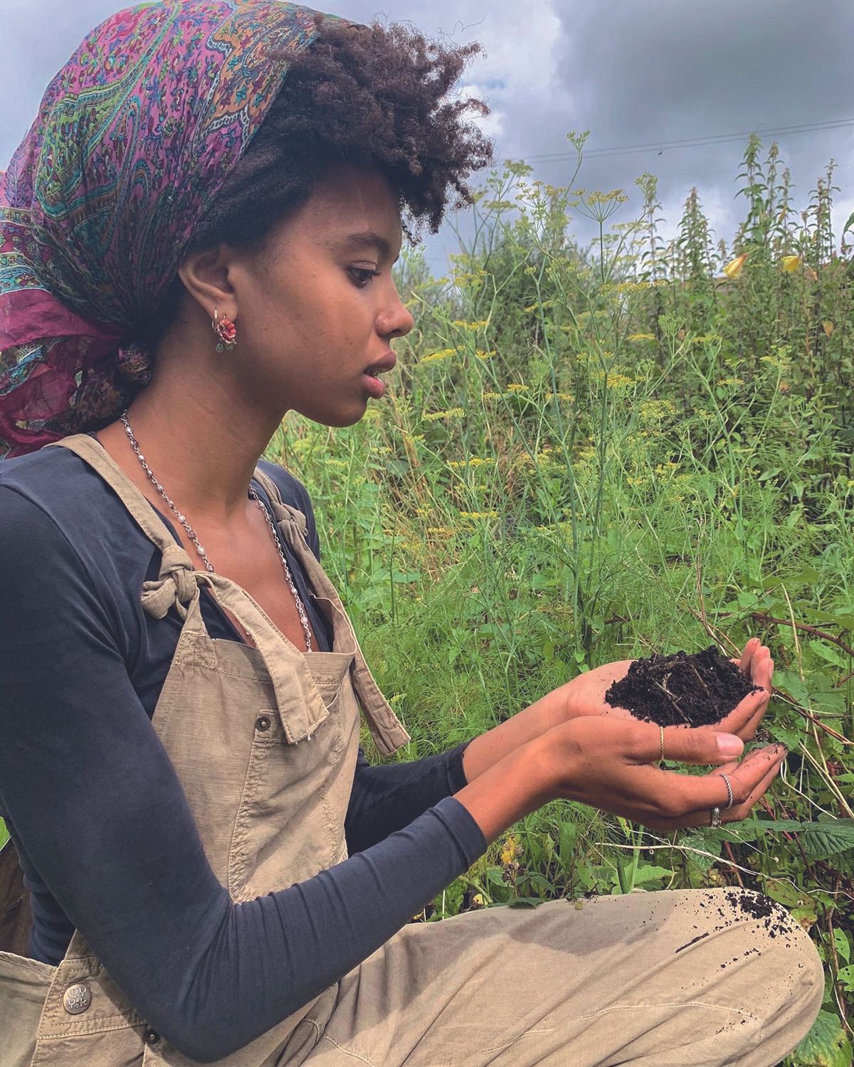 Poppy Okotcha's 8 tiny garden jobs are all you need do in December ...