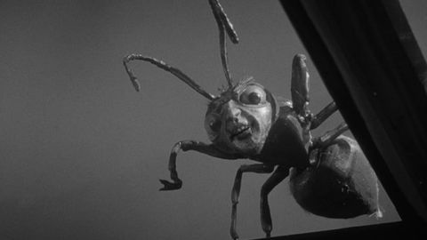 14 Great Horror Anthology TV Shows And How To Watch Them | Cinemablend