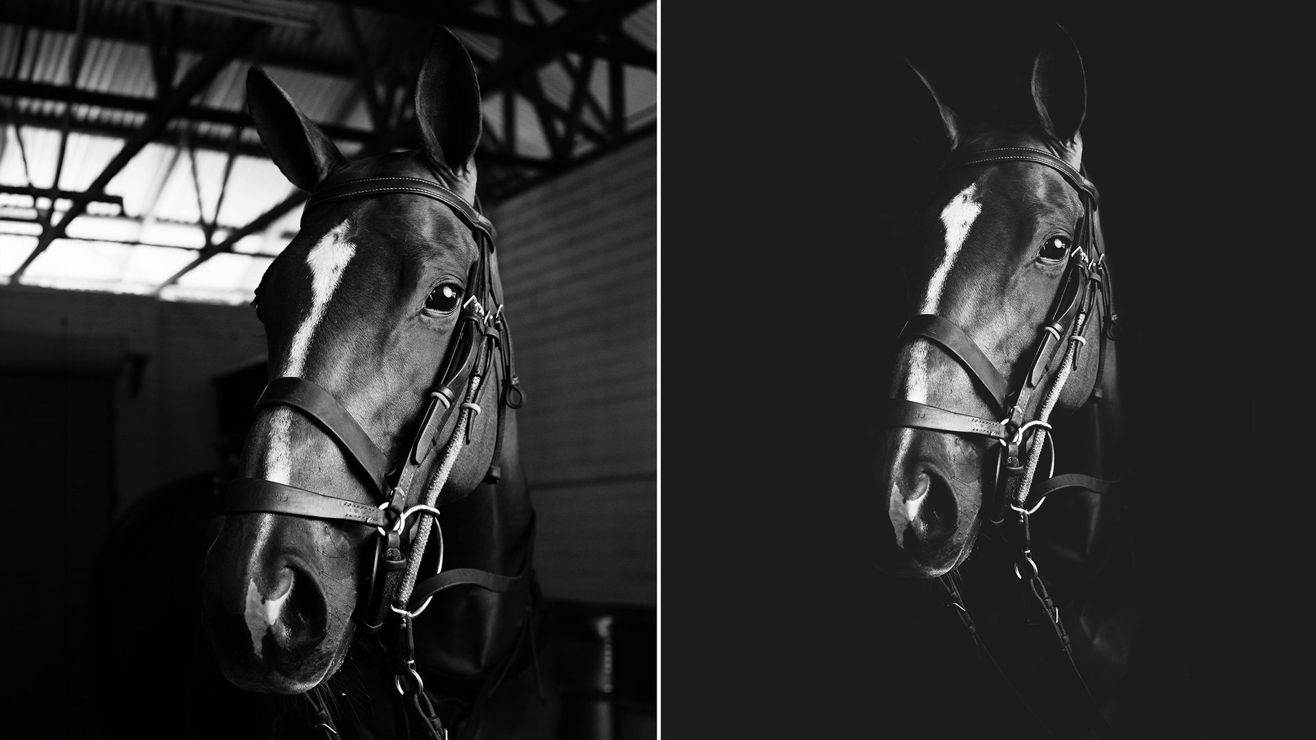 Make your portraits look as if they were shot in a high-end photo ...