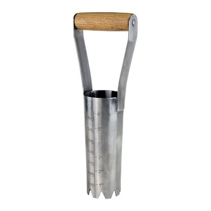 How deep to plant crocus bulbs - the exact depth you need | Ideal Home