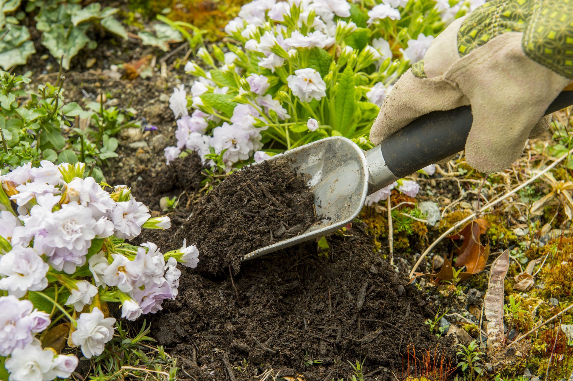 Why I wanted a wormery for compost – and how it's transformed my veg ...