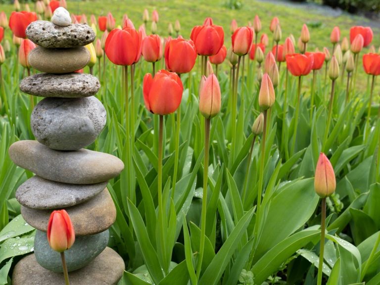 Rock Cairns Garden Design - Using Cairns In Gardens | Gardening Know How
