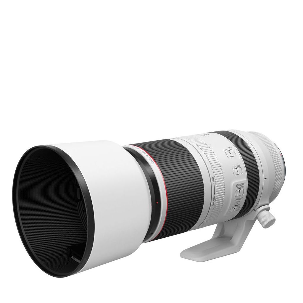 The best lenses for safari photography: get close to wildlife while maintaining a respectful ...