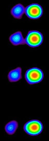 Blazing Speed: The Fastest Stuff in the Universe | Space