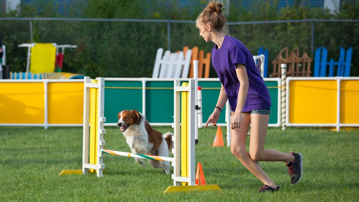 32 ways to workout with your pet | PetsRadar