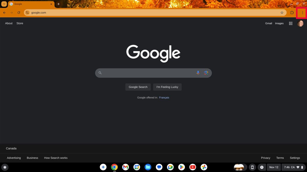 How to change themes on Chromebooks | Android Central