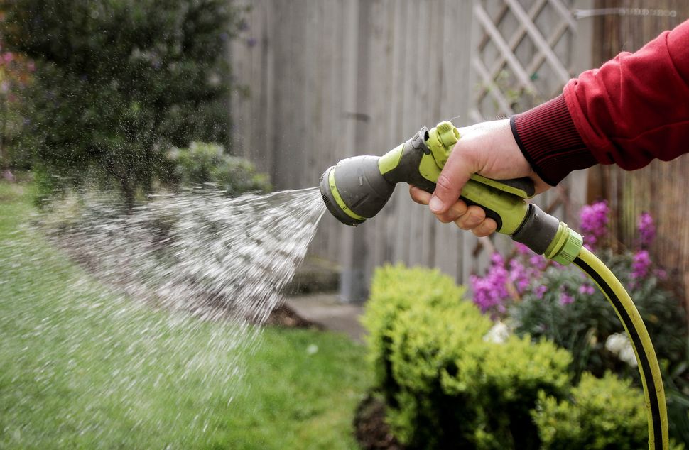 Drench or a quick soak? How long to spend watering a lawn | Homebuilding