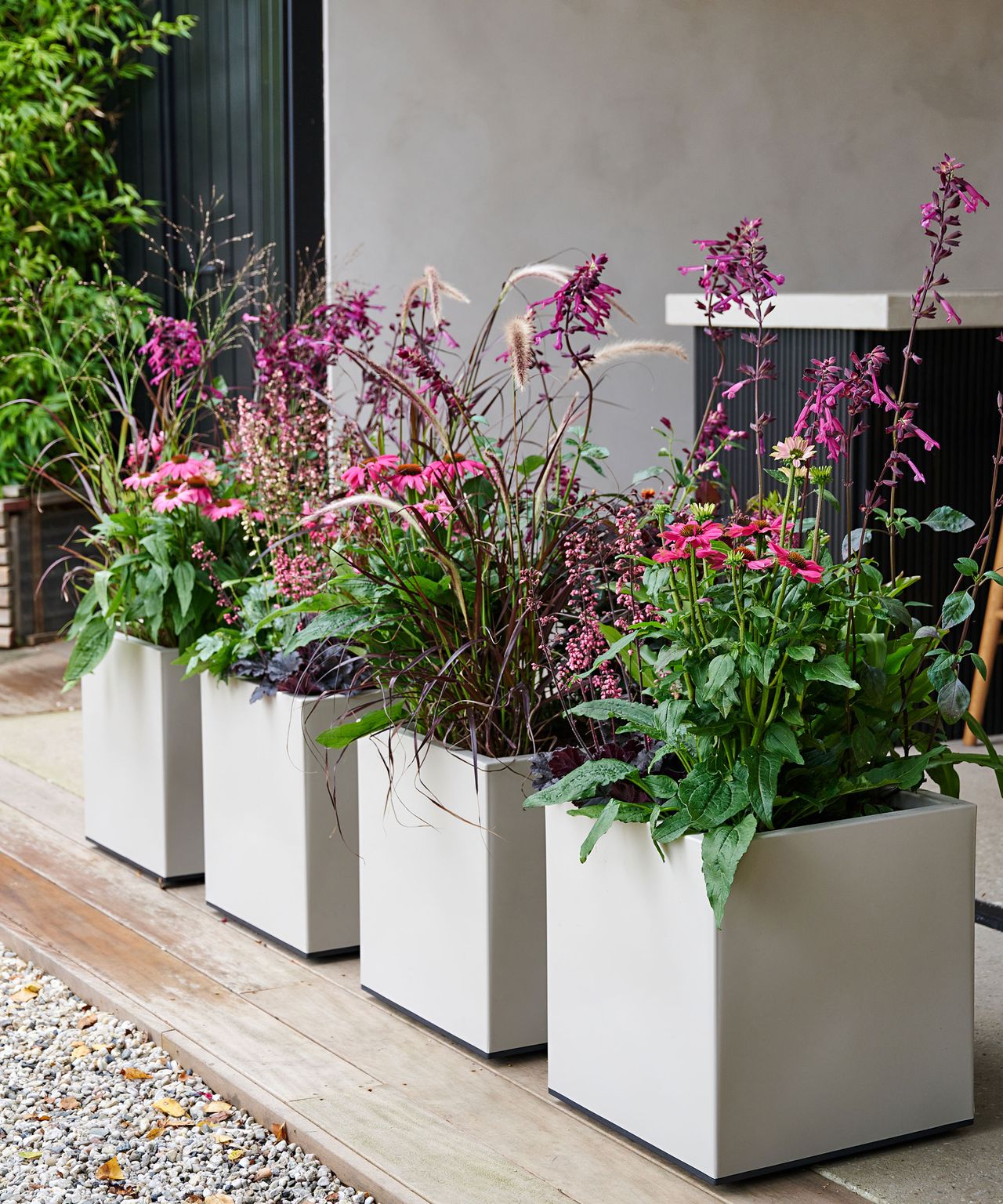 10 best color combinations for flower pots for | Livingetc