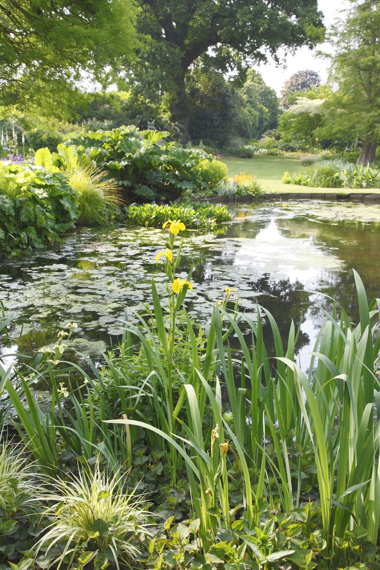 Rewilding – the latest garden trend – 10 ways to rewild your outdoor ...