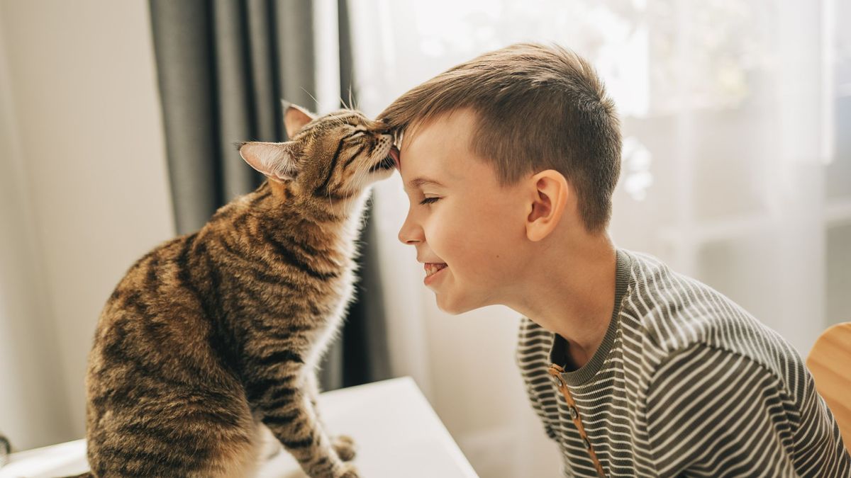 8 signs your cat loves you, according to an expert | PetsRadar