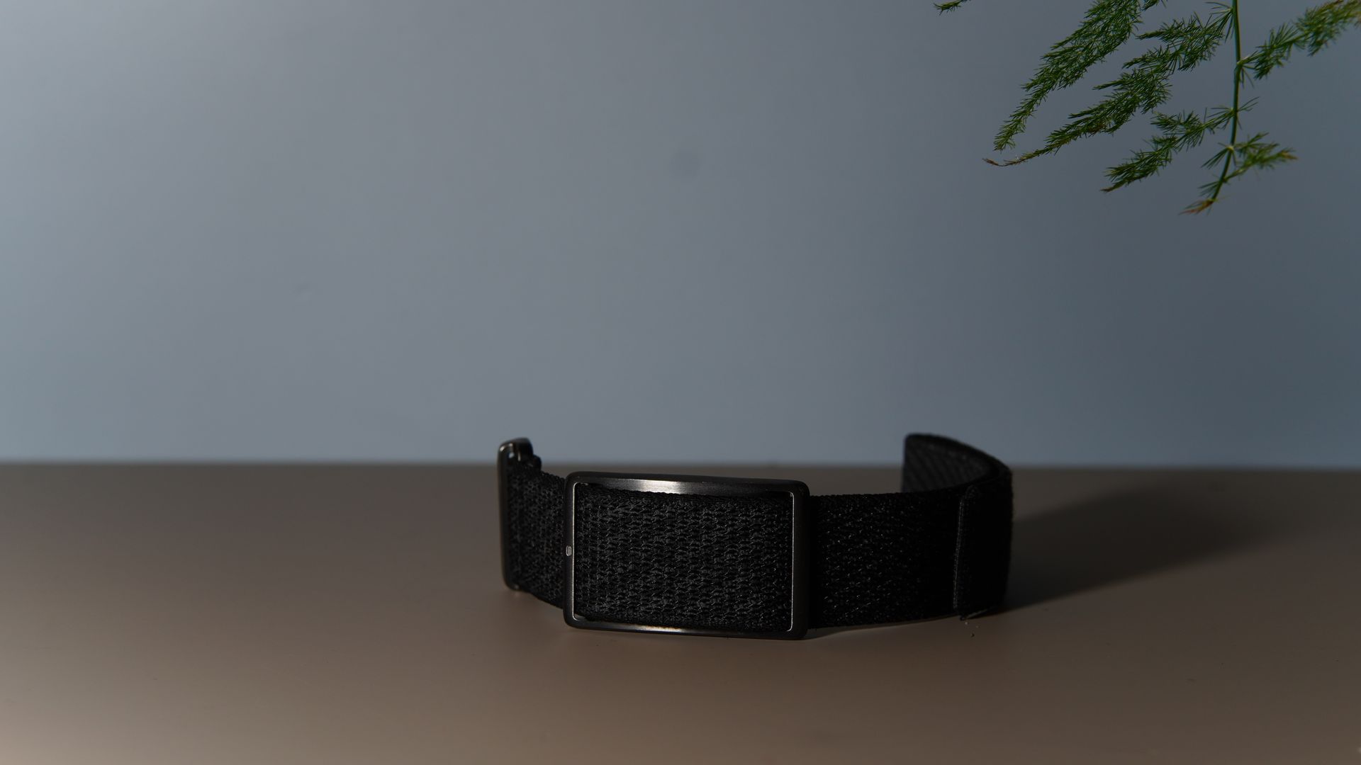 Polar Loop review: a Whoop-alike with personality issues | T3