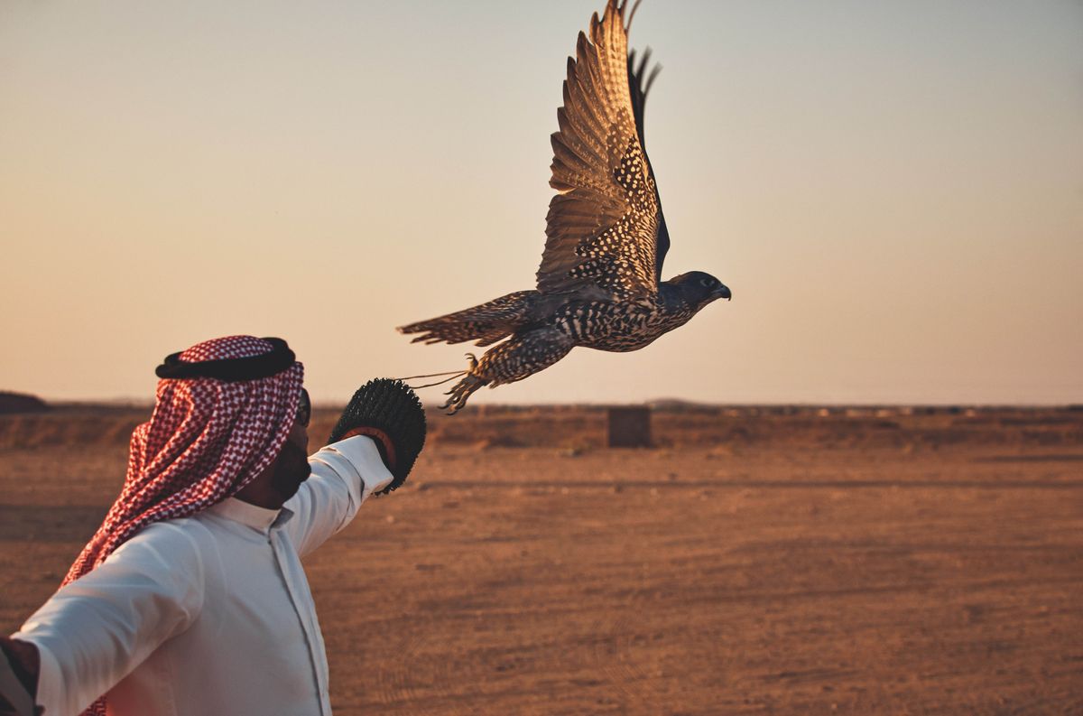 Saudi Arabia seen like never before in breathtaking photography books ...