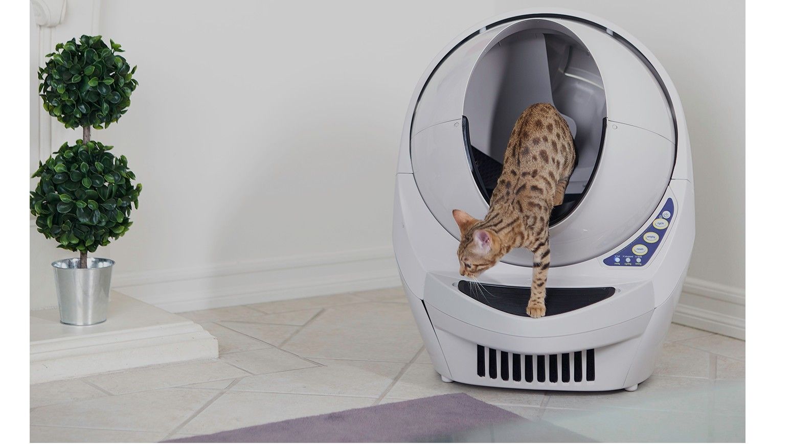 Best automatic cat litter boxes 2025: all tried and tested | PetsRadar