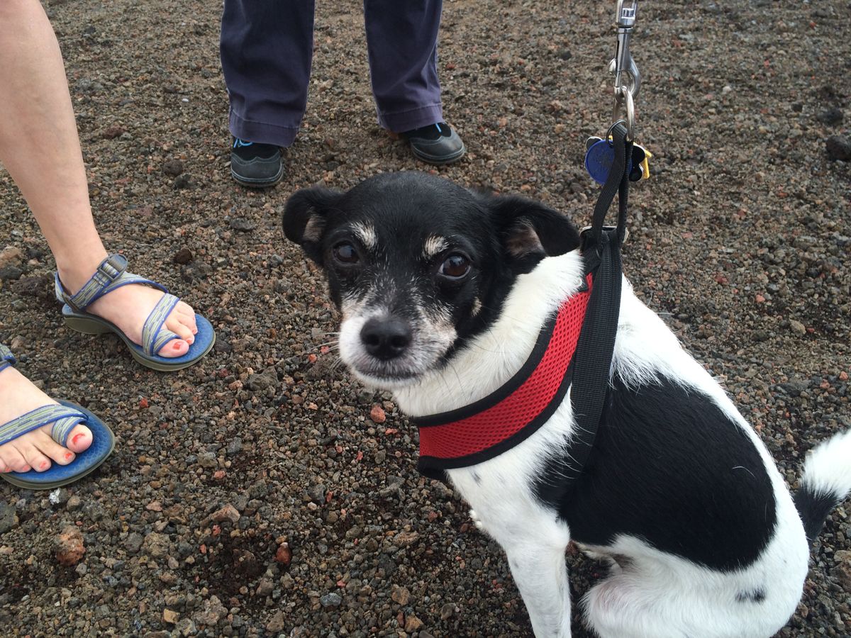 Life on Mars: Inside The HI-SEAS Isolation Habitat (Gallery): Page 3 ...