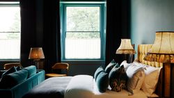 Birth Month Colors: Transform Your Home With Your Birthday Hue | Homes ...