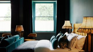 3 unpopular colors that experts say we should use more | Homes and Gardens