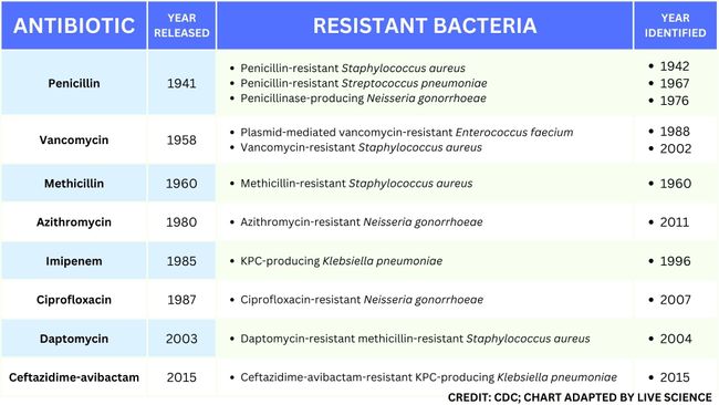 Dangerous 'superbugs' are a growing threat, and antibiotics can't stop their rise. What can ...