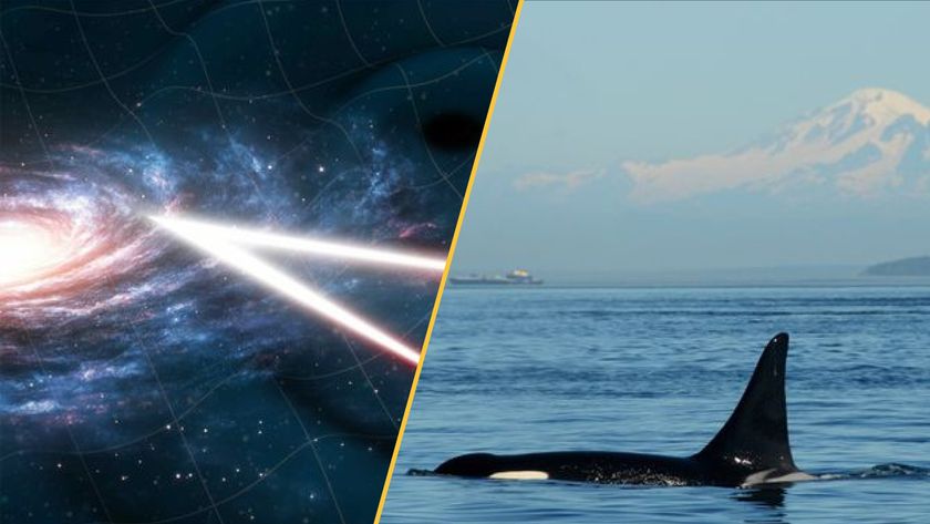 What is Occam's razor, and does it actually work? | Live Science