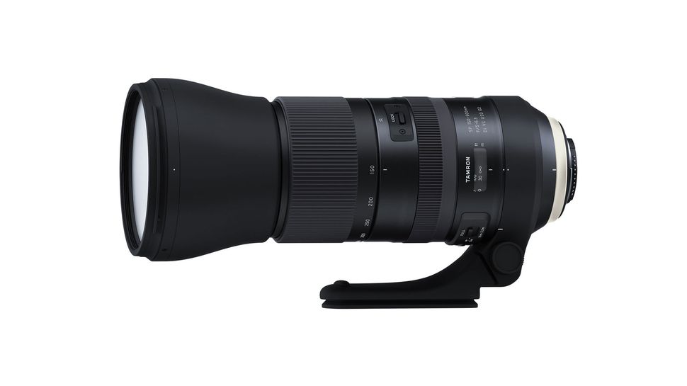The best lenses for bird photography in 2023 | Digital Camera World