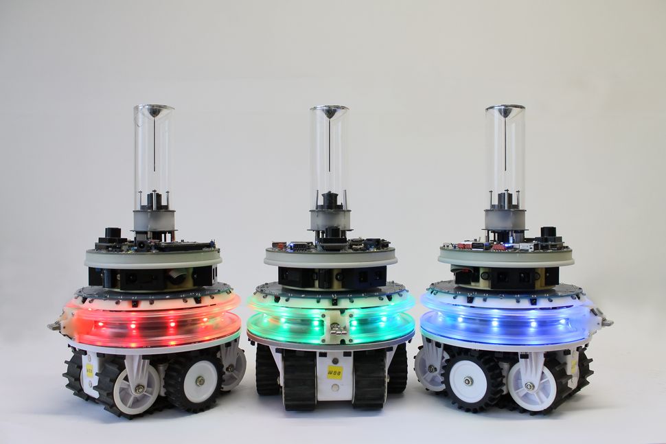Assemble! 'Voltron'-Like Robots Can Elect Their Own Leader | Live Science