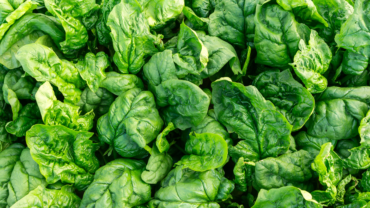 What to plant in March: 7 vegetables for a homegrown crop | Tom's Guide