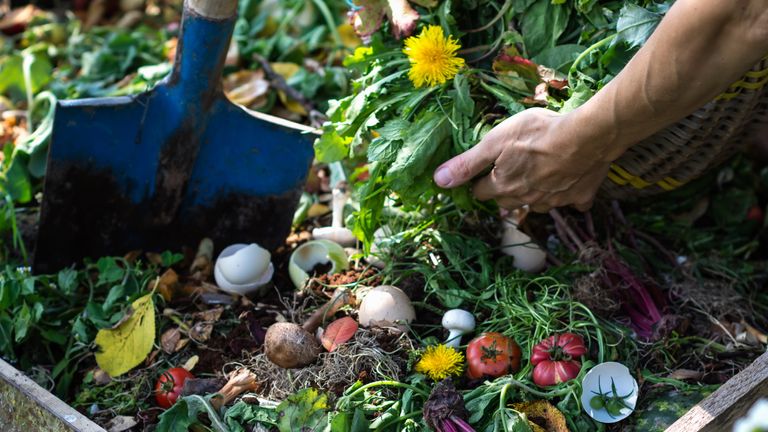 Can you compost weeds? Experts reveal all | Homes and Gardens
