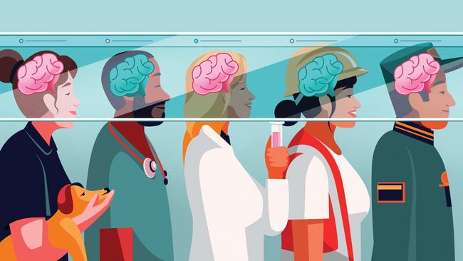 Is there really a difference between male and female brains? Emerging ...