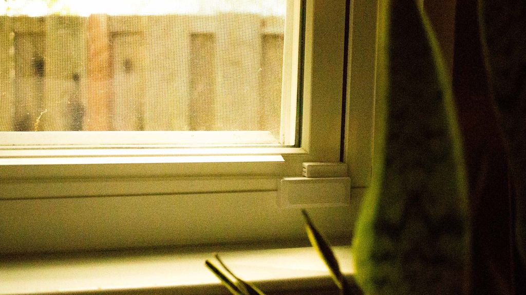 LifeShield Shield Kit Review: Almost Too Much Good Stuff | Tom's Guide