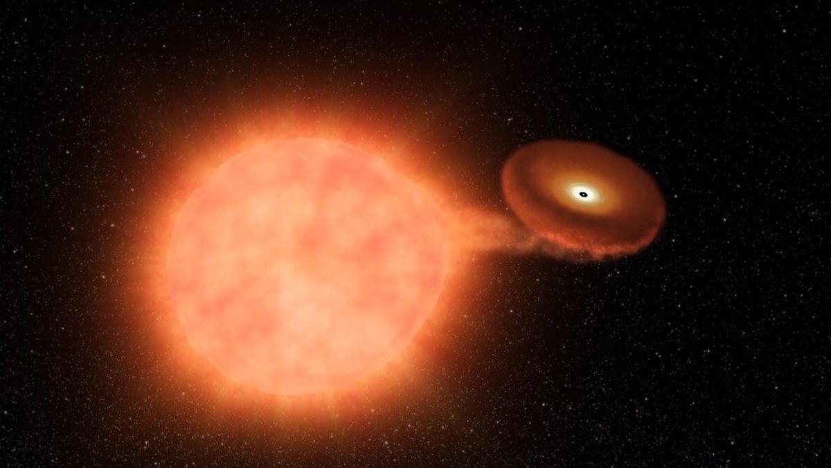 White dwarfs: Facts about the dense stellar remnants | Space