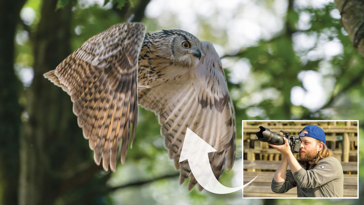 Video: how to photograph birds in flight | Digital Camera World