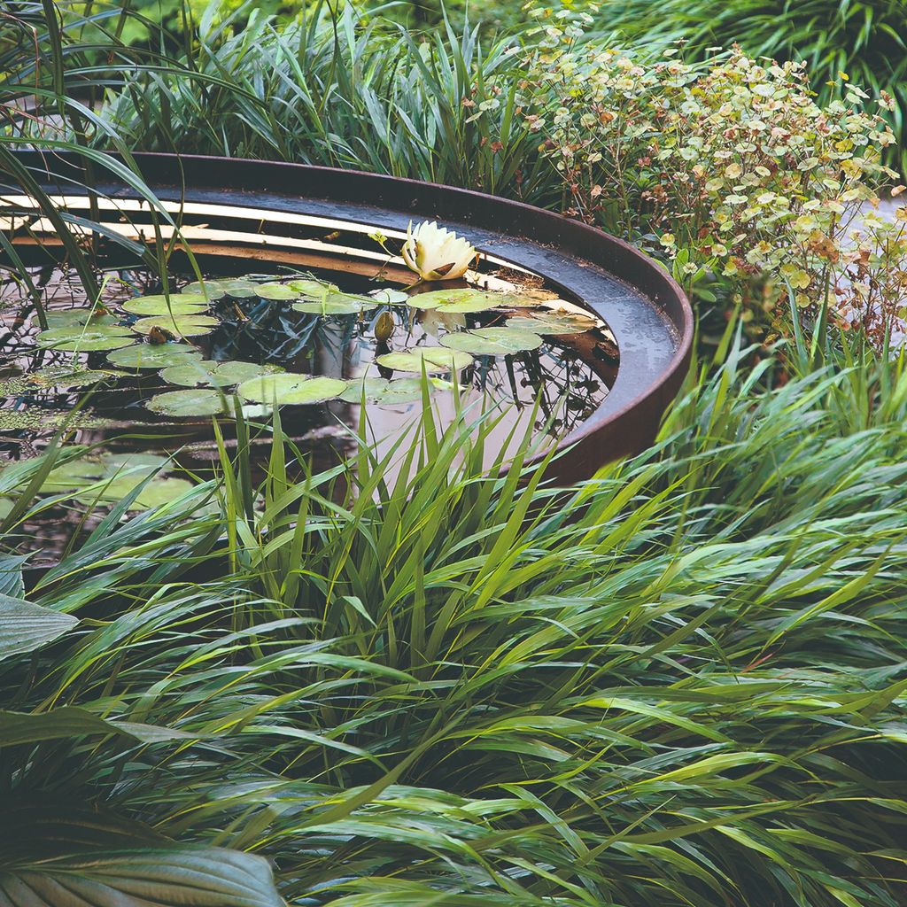 How to get rid of midges outside | Ideal Home