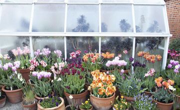 Spring gardening – 12 tips to get your plot ready for planting and the ...