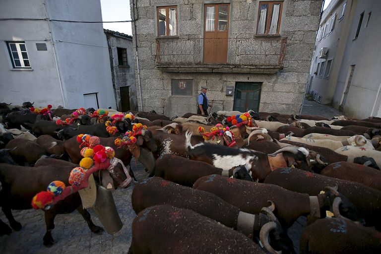 Timeless traditions | The Week