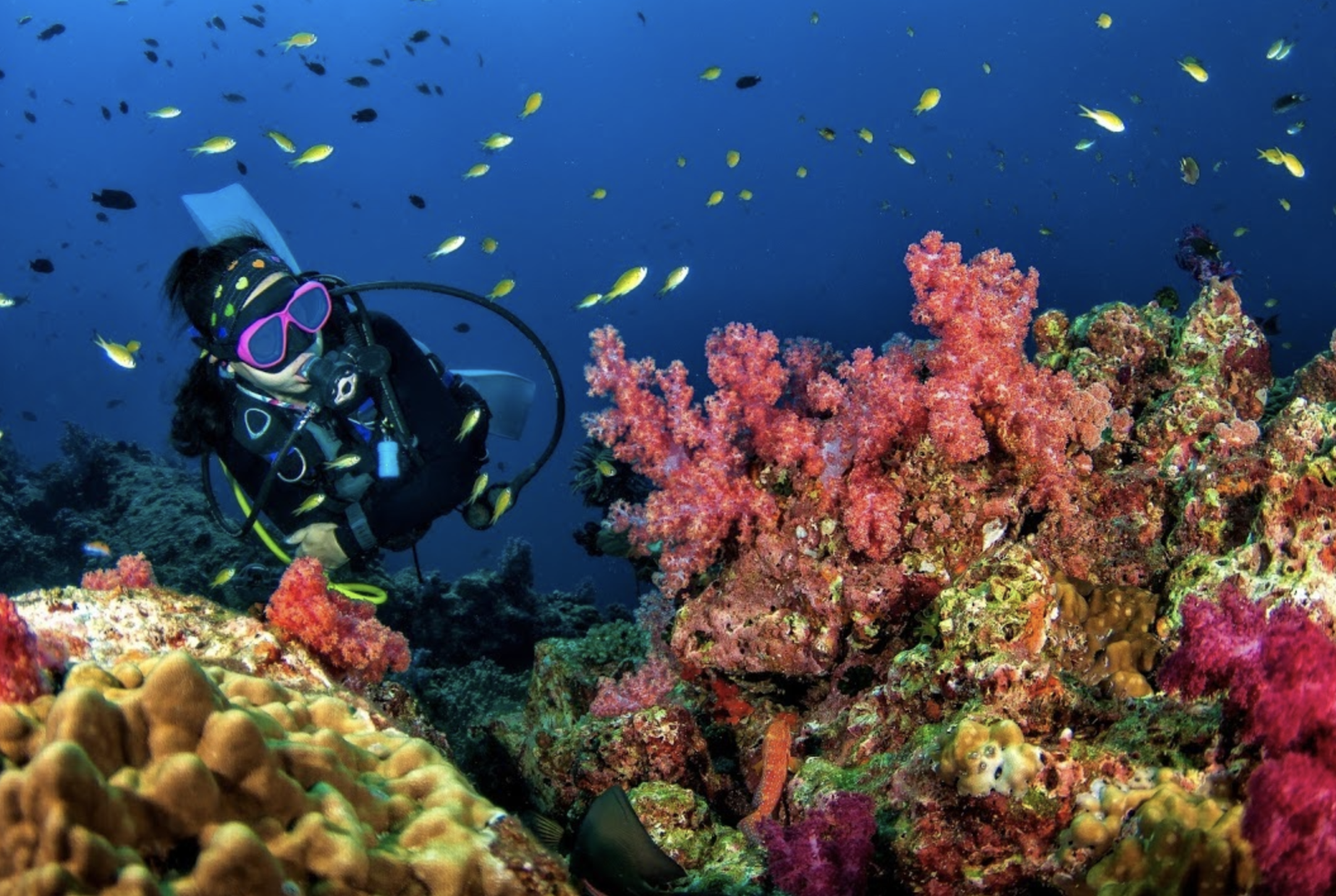 Why Windjammer Landing St. Lucia Should Be On Your Bucket List | Marie ...
