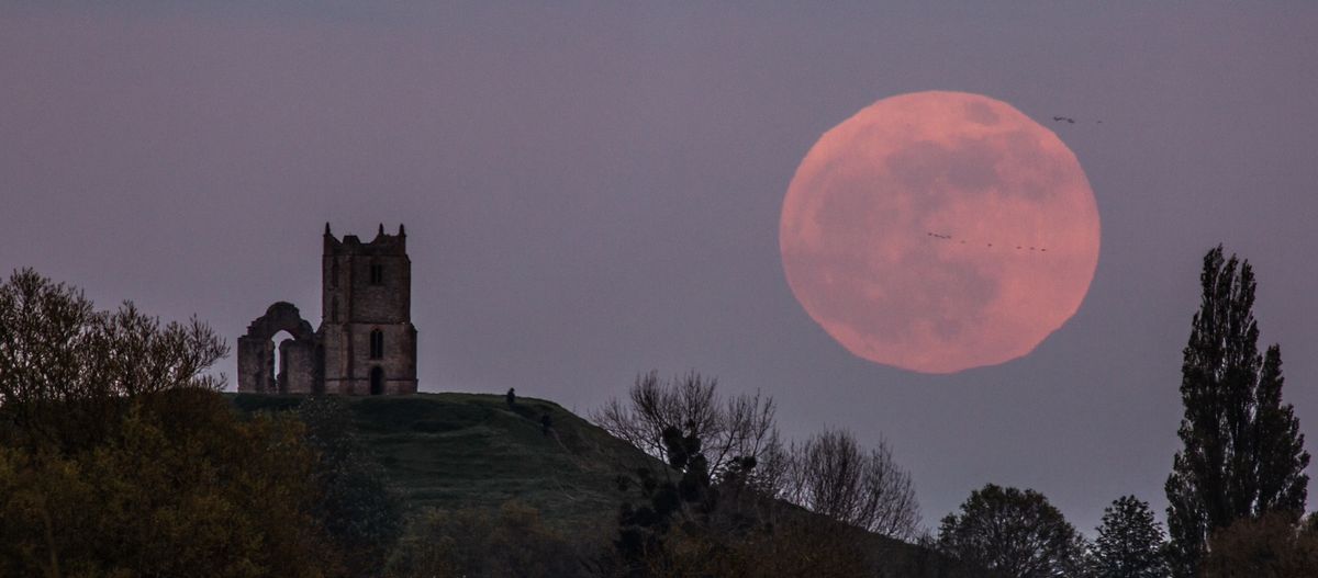 April full moon has us tickled pink in these gorgeous photos | Space