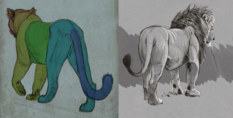 How to draw animals: 15 top tips | Creative Bloq