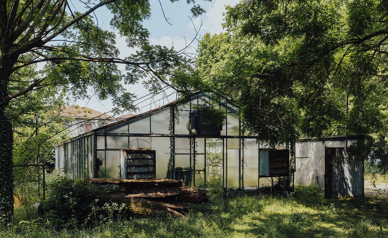 Alcova 2025 highlights beauty in urban decay | Wallpaper*