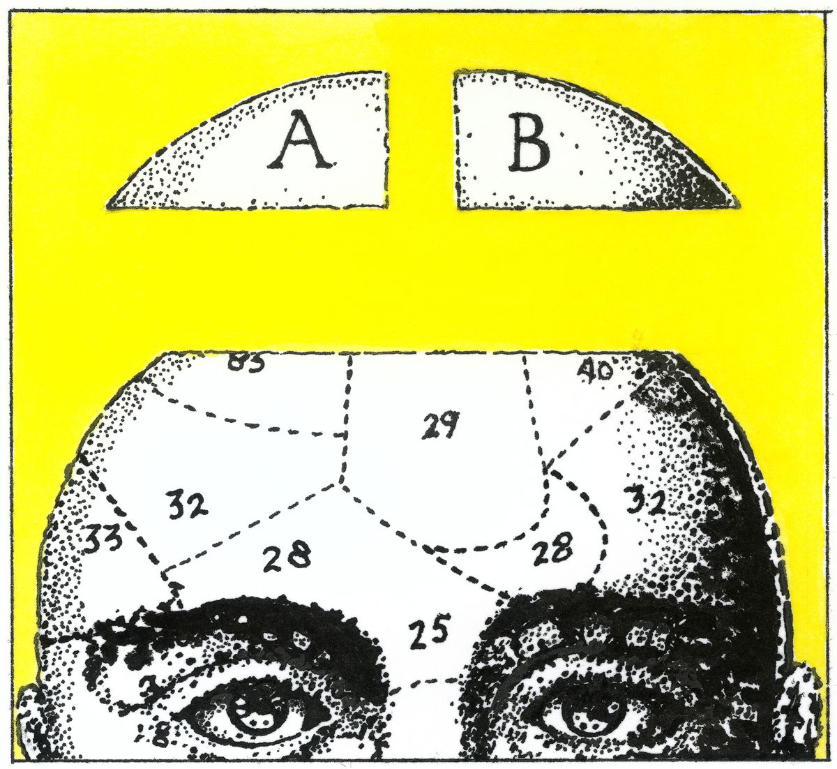 No, your brain isn't a computer | The Week