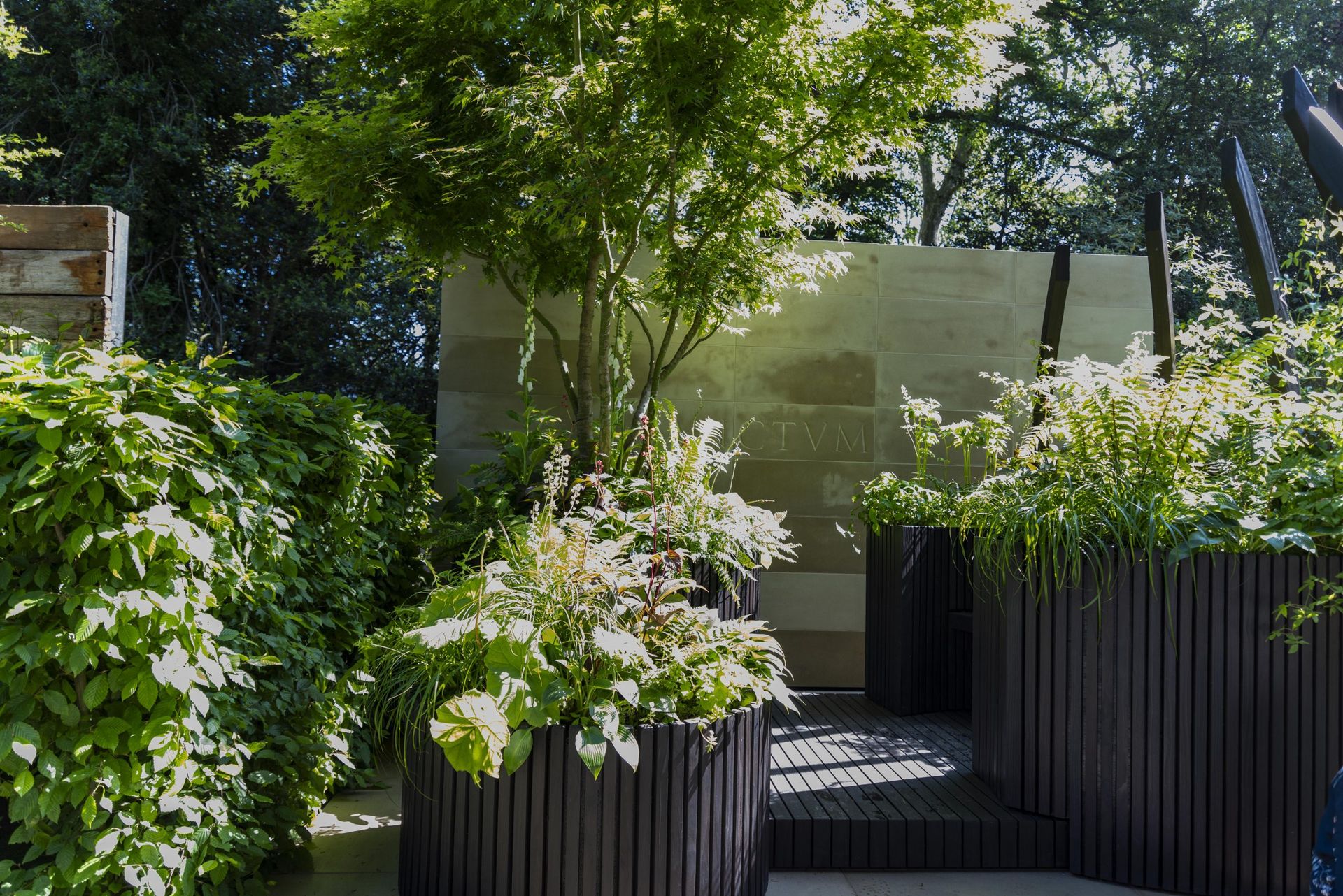 RHS Chelsea Flower Show 2024: See all the gold medallists | Country Life