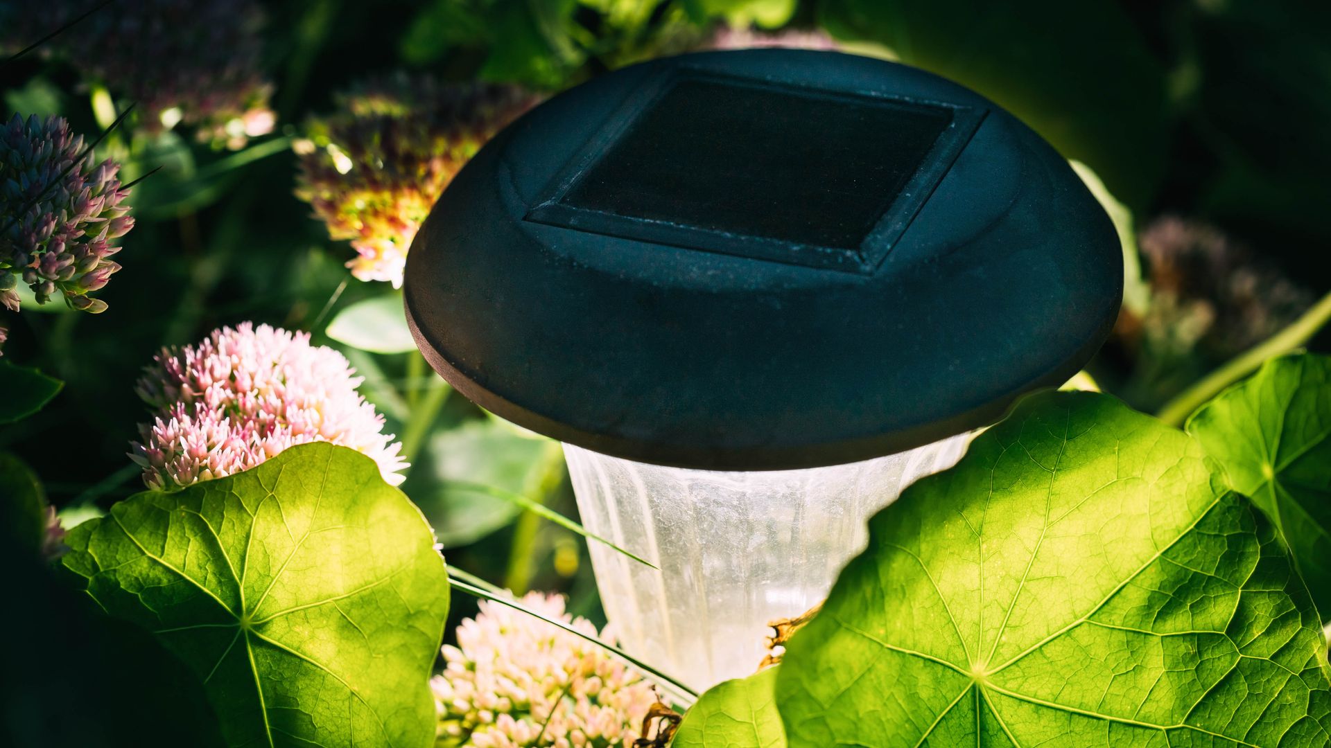 Best solar lights in 2024 | Tom's Guide