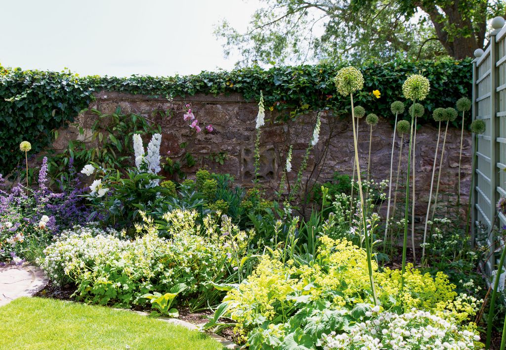 How to plant allium bulbs: expert tips for successful blooms | Gardeningetc
