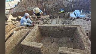 Ancient Chinese tombs hold remains of warriors possibly buried alive ...
