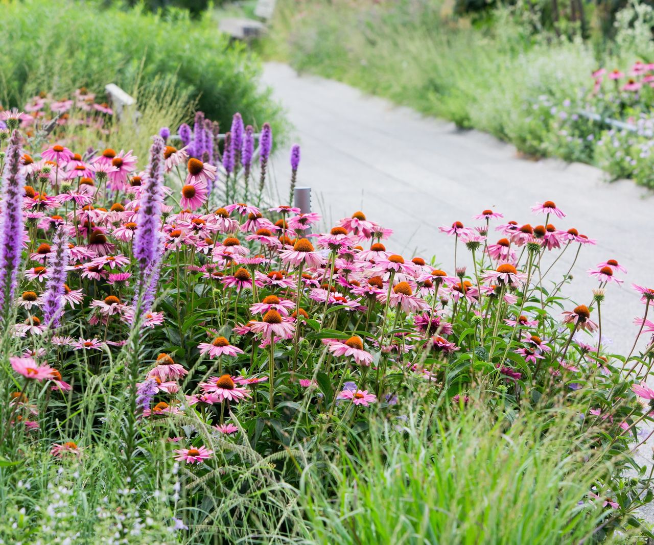 Discover where to begin with matrix planting | Homes and Gardens