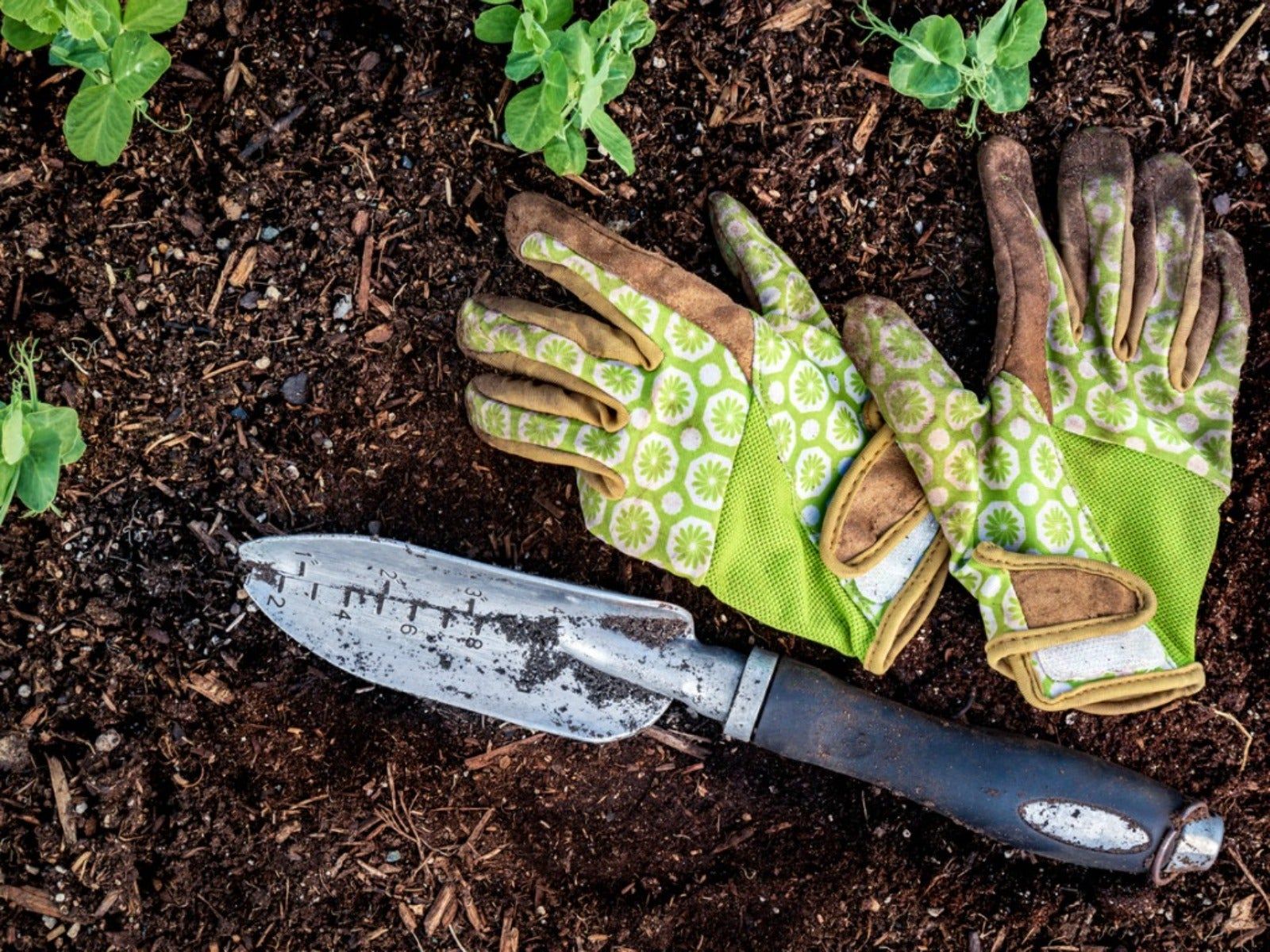 Can You Get Tetanus From Gardening? | Gardening Know How